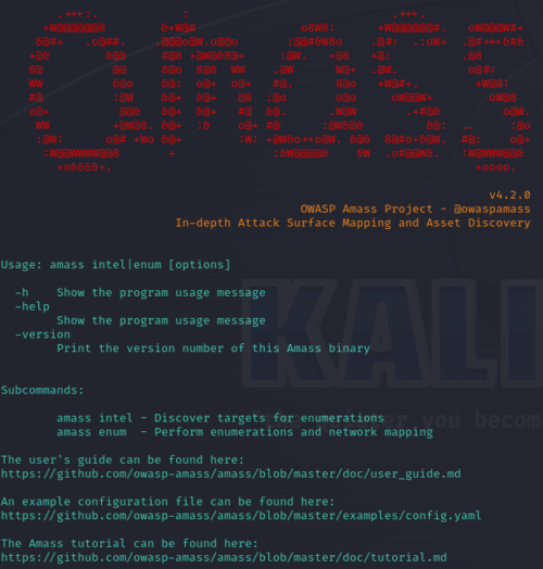 Amass | kali linux覚え書き
