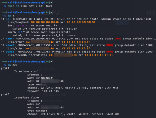 Kismetで電波を解析 | kali linux覚え書き