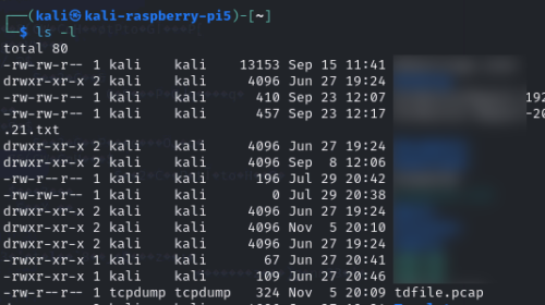 tcpdumpでパケット収集 | kali linux覚え書き